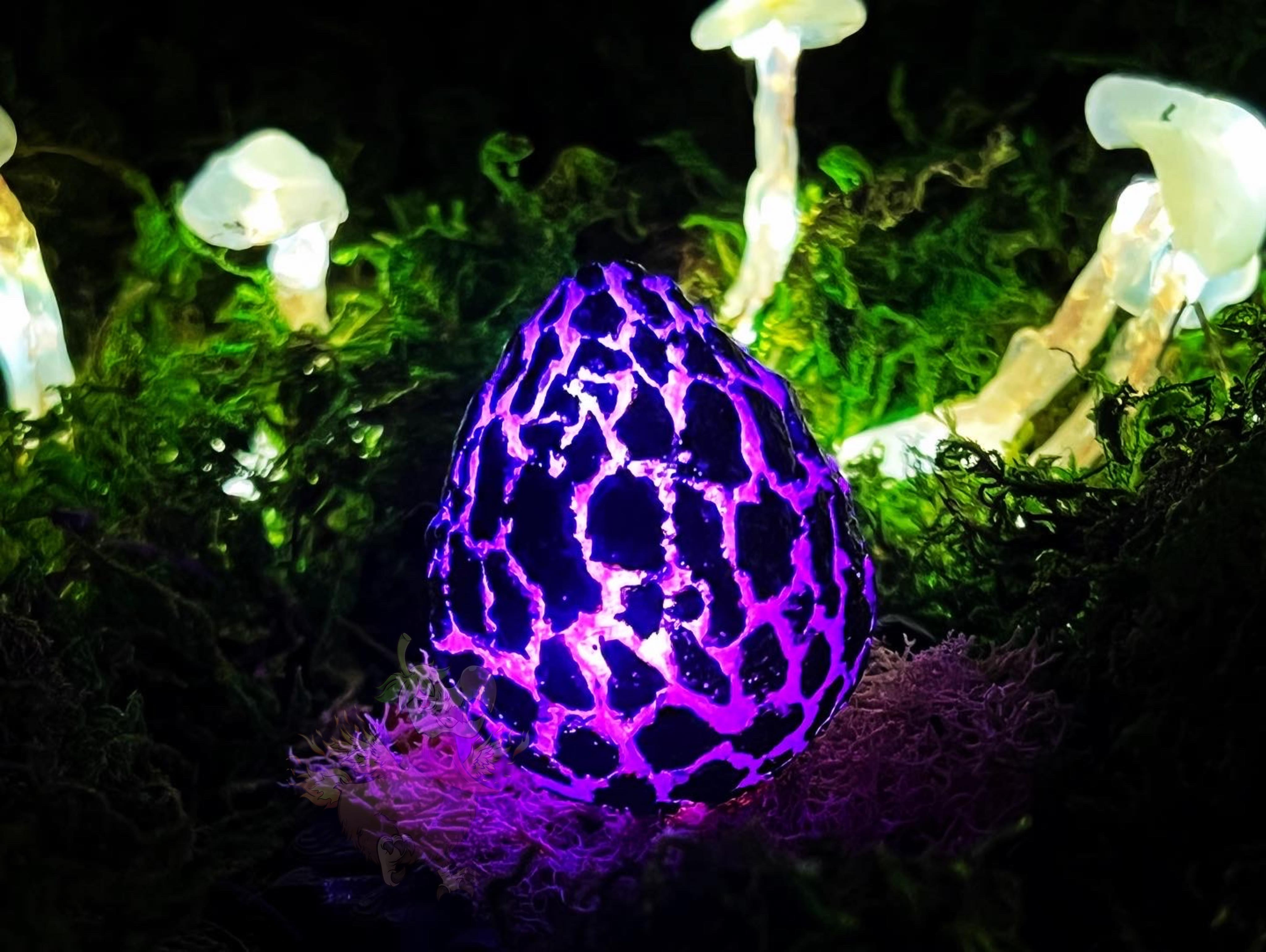 Drake Nest – spicydodo